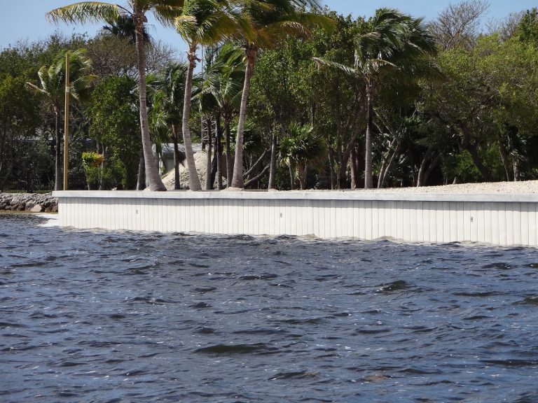 The Design of Coastal Revetments, Seawalls, and Bulkheads