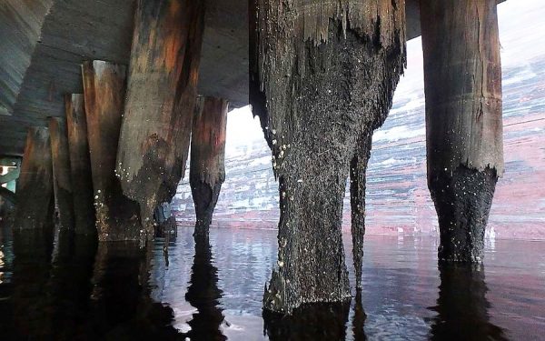 Cost Effective Timber Pile Bridge Repairs - Pile Buck Magazine