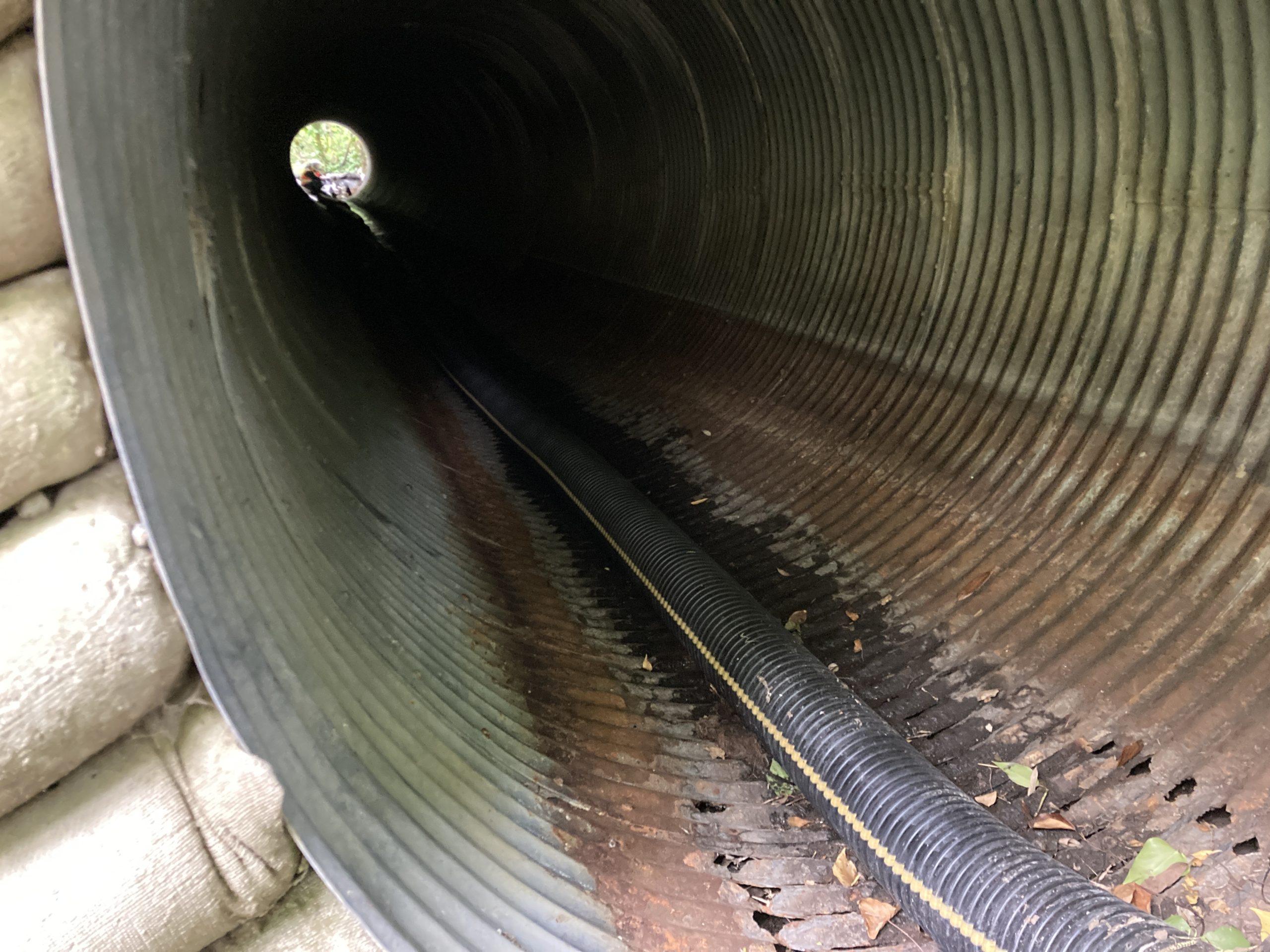 Minimizing Environmental Impact During Creek Culvert Rehabilitation ...