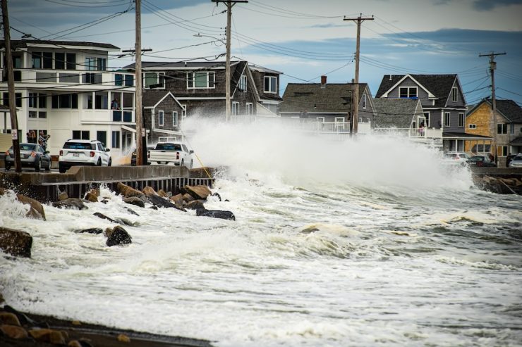 Designing and Installing Sheet Piling for Storm Protection - Pile Buck ...