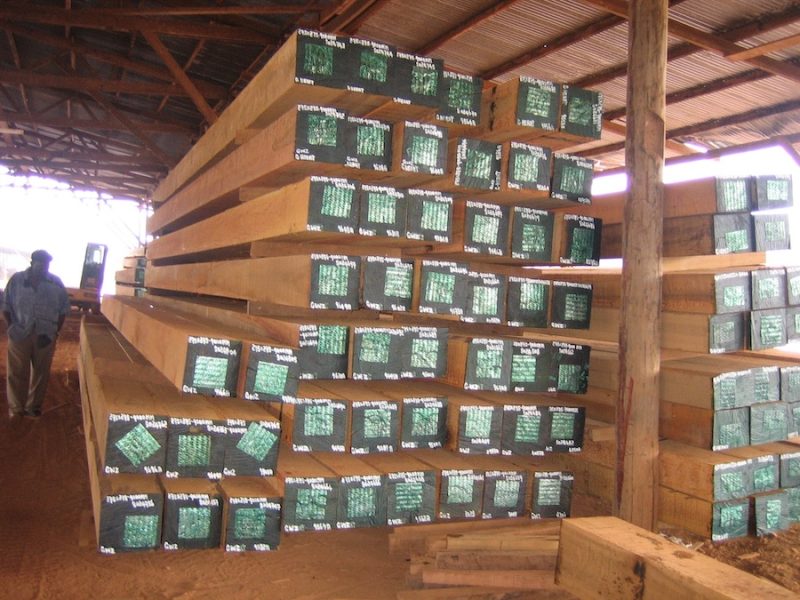 Greenheart Piles: Strength and Sustainability for Coastal Builds - Pile ...