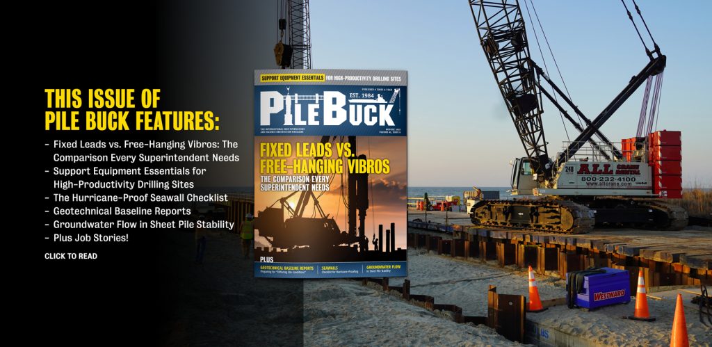 New Issue of Pile Buck: Issue 41 -6 - 2025 - Pile Buck Magazine