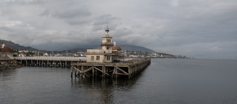 Greenheart Piles: Strength and Sustainability for Coastal Builds - Pile ...