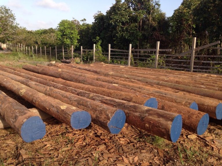 10 Tips for Handling, Transporting, Driving Tropical Greenheart Piles ...